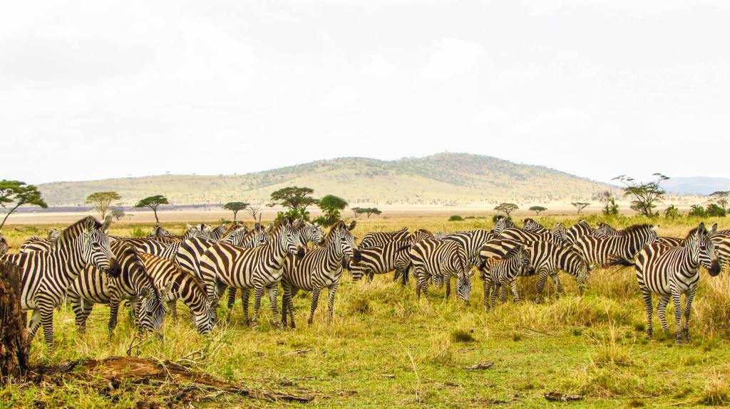 Breathtaking Views: The World’s Best Panoramic Vistas – The World's Best